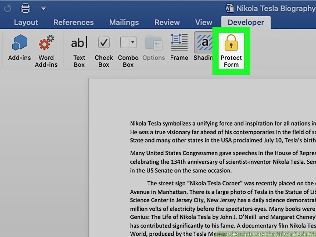 Fillable Text Box Word For Mac Fillable Form 2025