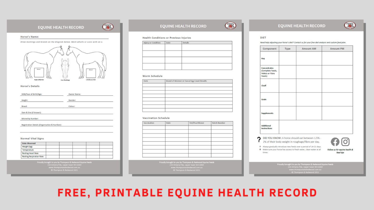 Printable Free Equine Record Keeping Forms - Printable Forms Free Online