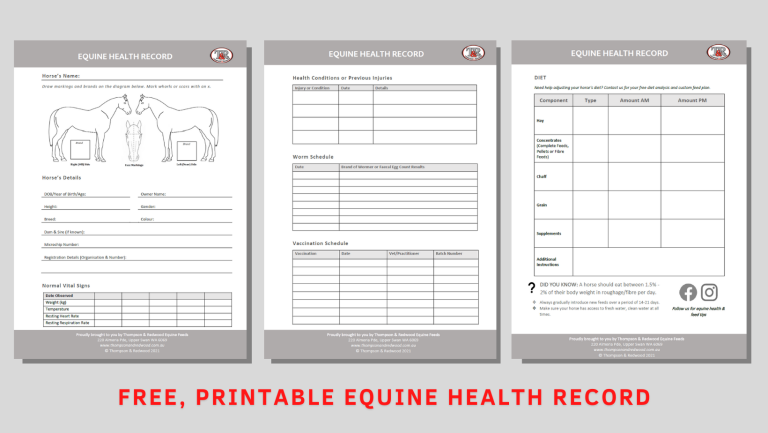 Printable Free Equine Record Keeping Forms - Fillable Form 2025