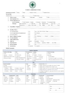 39 Printable Nursing Assessment Forms Examples - Fillable Form 2025