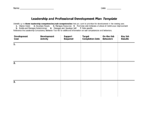 Individual Development Plan Template Word Google Search Personal ...