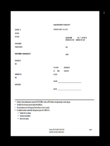Printable Editable Texas Temporary Paper Id Template - Fillable Form 2023