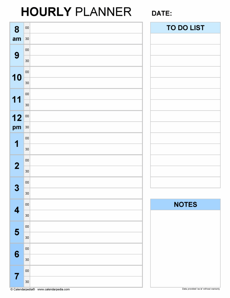 Daily Hour Planner Printable - Fillable Form 2025